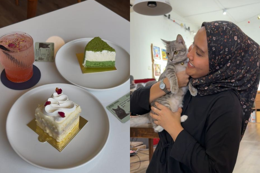 Makan ditemani si bulus, Spring Spring Cafe syurga buat pencinta kucing ...