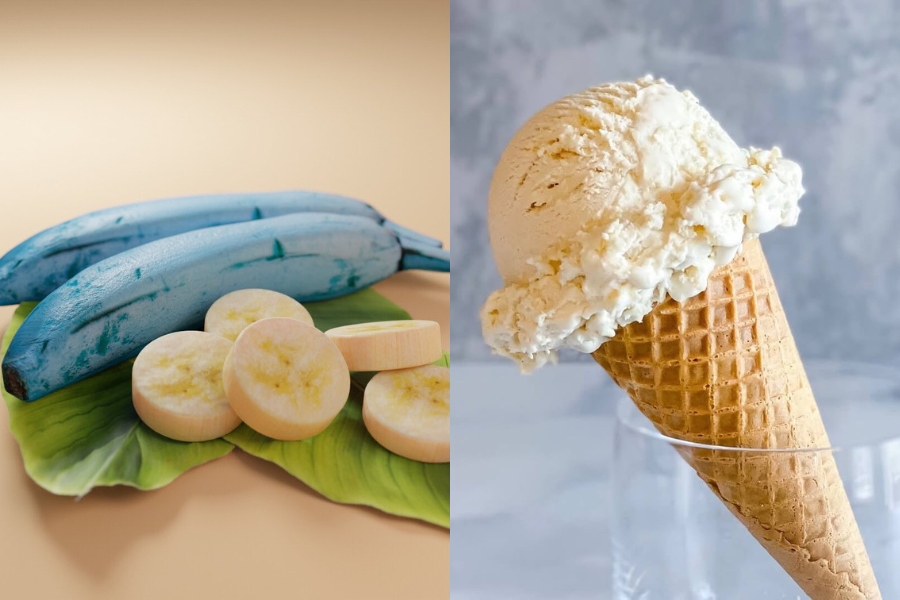 Kenali The Blue Java, pisang unik berkulit biru… Rasanya berkrim macam ...