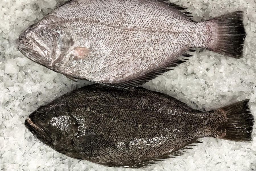Pernah dengar fasal ikan sebelah? Ini fakta menarik tentangnya ...
