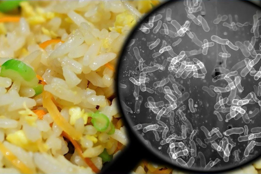 Ketahui bahaya 'fried rice syndrome', tabiat goreng semula nasi sisa ...
