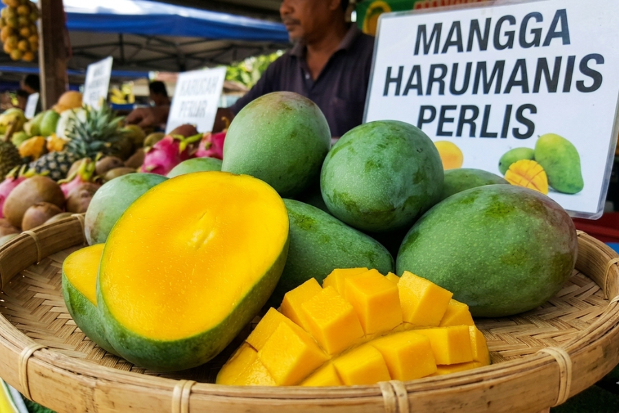 Musim Harumanis kembali... Harga jualan bermula RM29 hingga RM49 ...